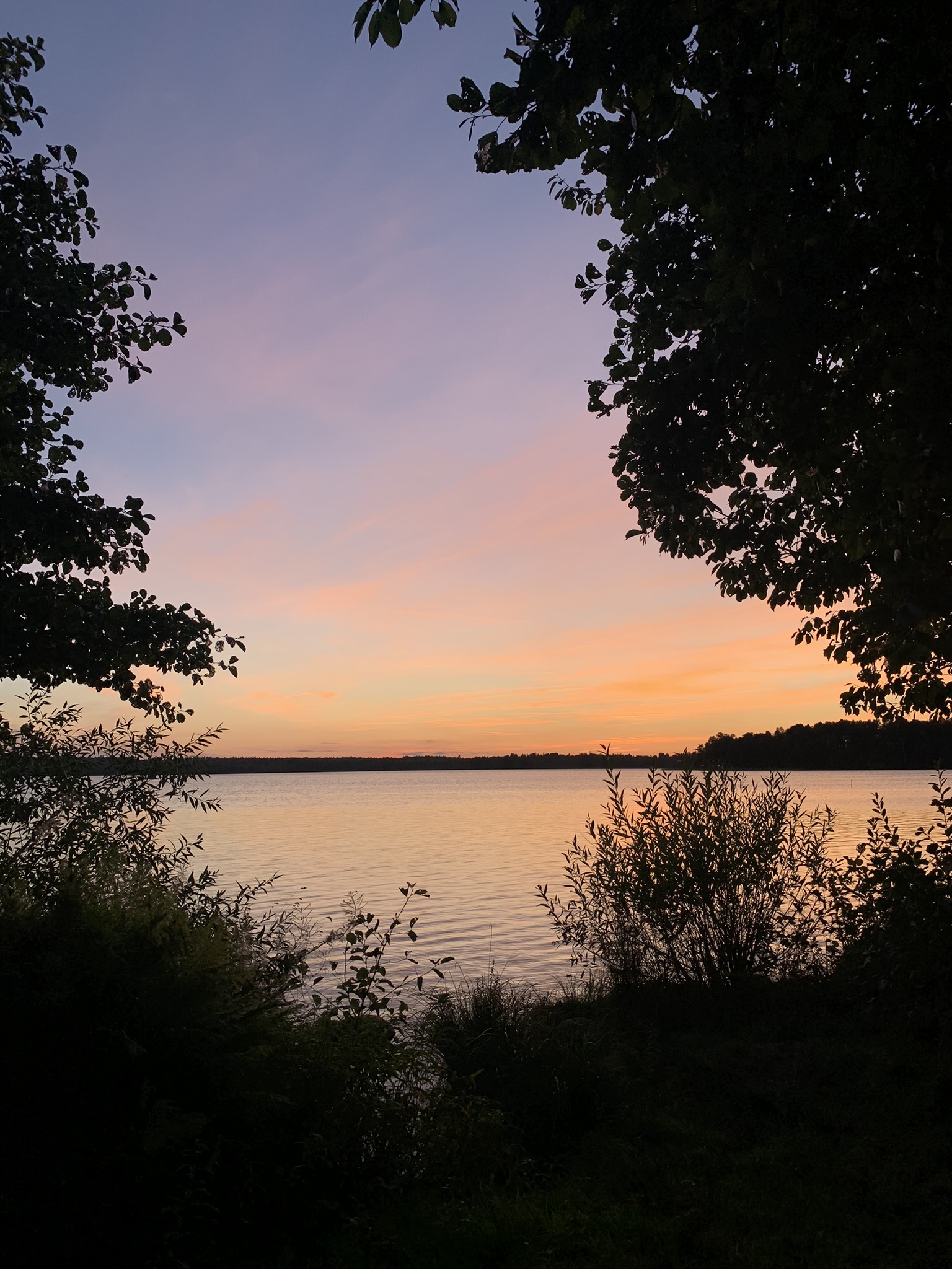 Why did I decide to come back to Sweden? – Nätverket SIP